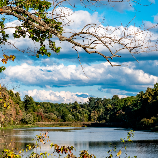 VUEWorks for Springfield Water & Sewer Commission – AtkinsRéalis